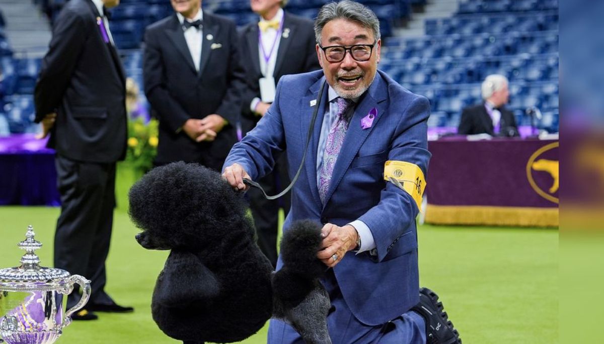 Farewell To A Canine Champion: 65-Year-Old Dog Show Legend Kaz Hosaka ...